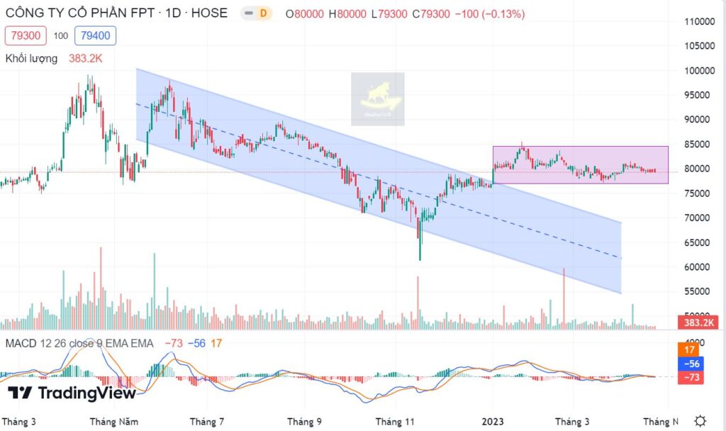 Báo cáo cập nhật cổ phiếu FPT ngày 23/04/2023